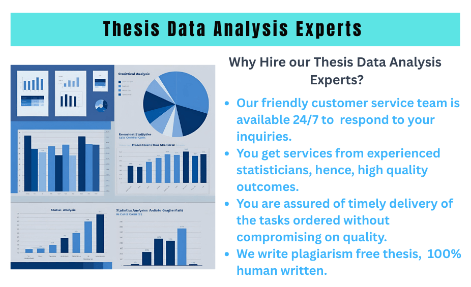 Thesis Data Analysis Services from Experts